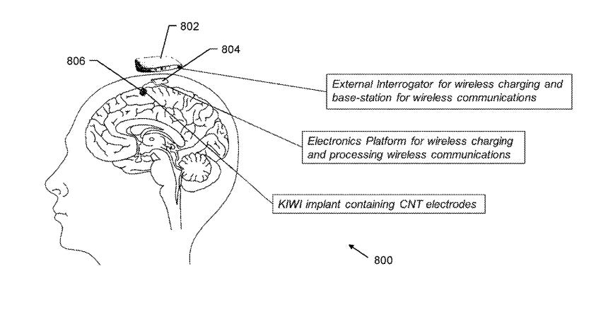 TERMINATOR SEEDS: and ECTOGENESIS - LawyerLisa’s Substack