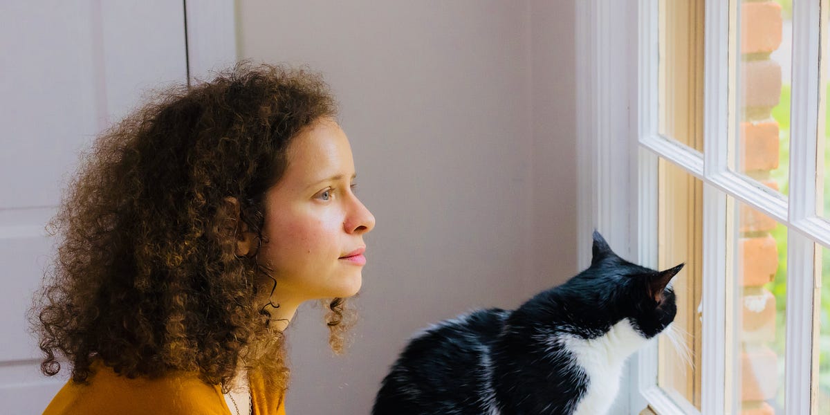 Introverts Supporting Creativity on Substack