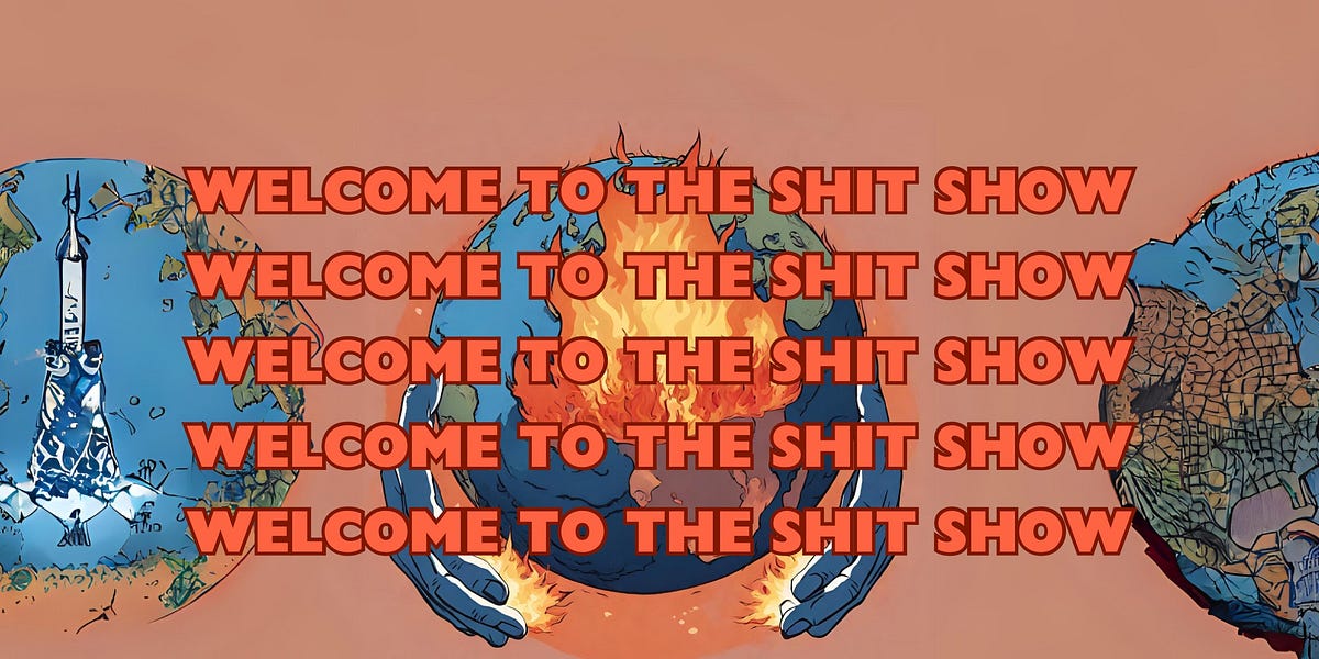 Dear Diary, the World is a Shit Show - by Justine Aksoy