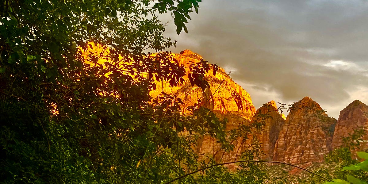 dissolving into the poem I never left - by Nancy Neithercut