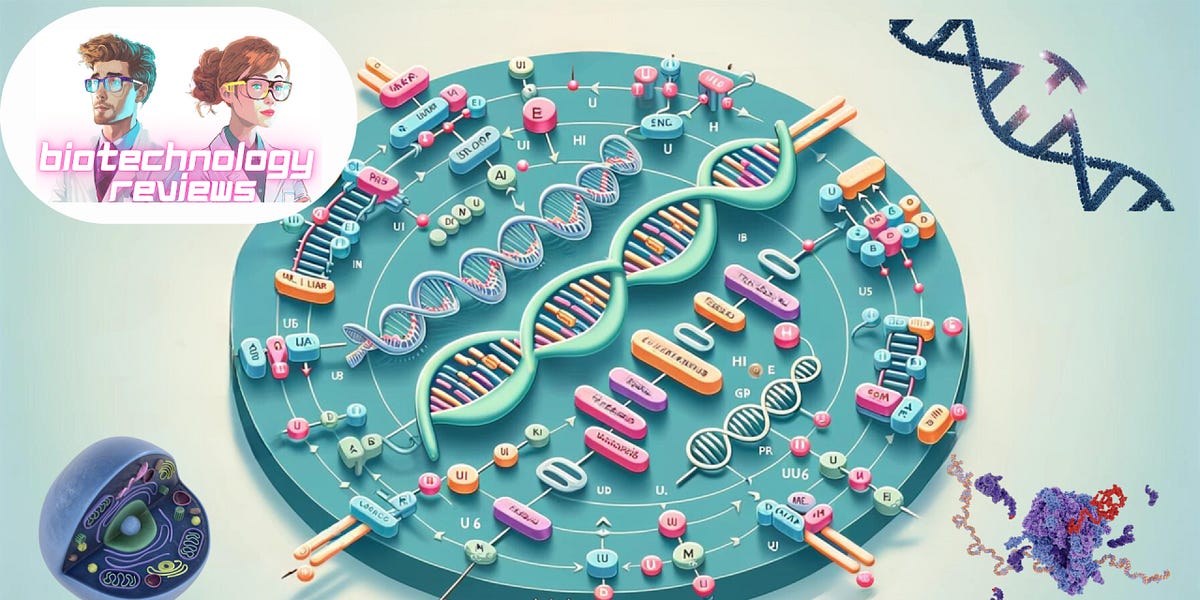 Splice-Switching RNA: Modulating Interactions in the Spliceosome, In ...