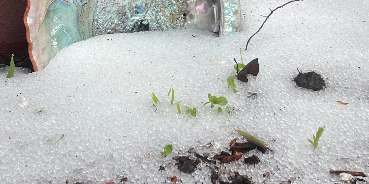 Hail and Dry Pavement - by Cole Hersey