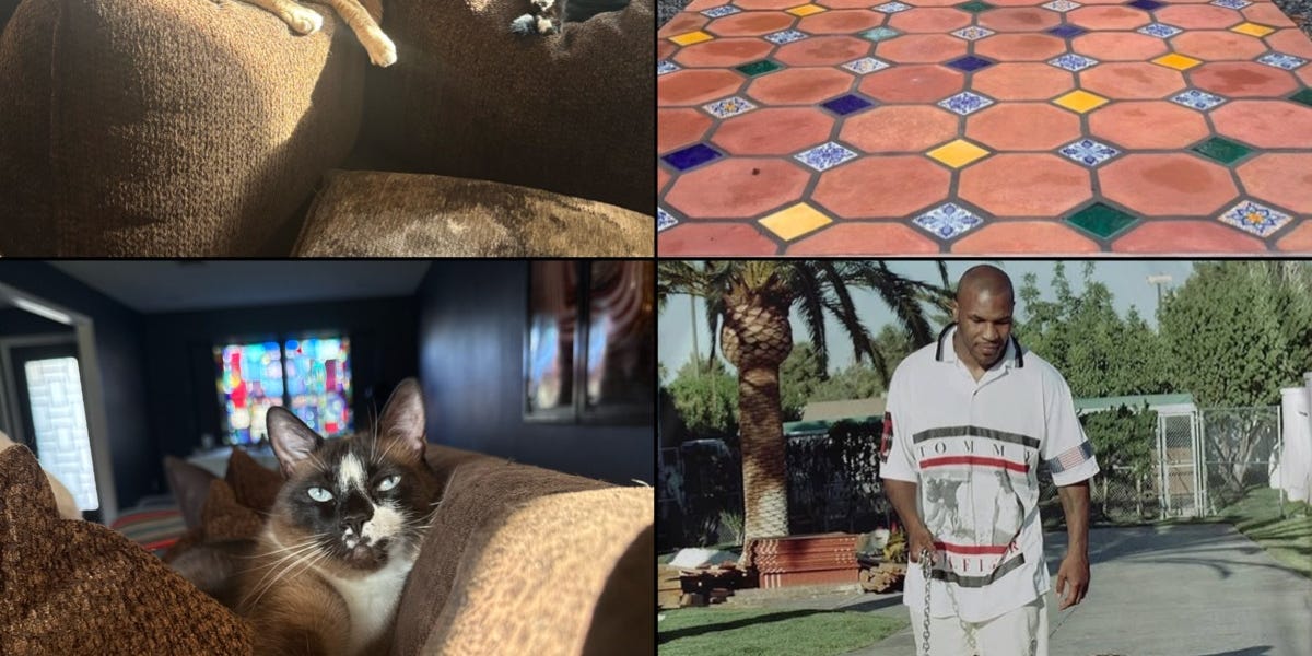 Immortal Palaces - Ancient Problemz