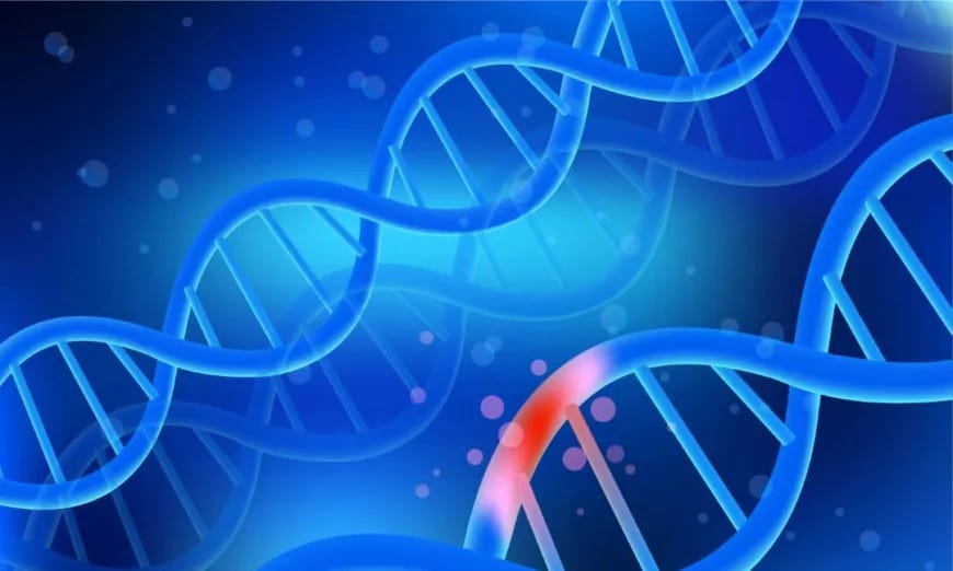 2 Main Causes of DNA Damage, Eat These Foods to Repair Your DNA