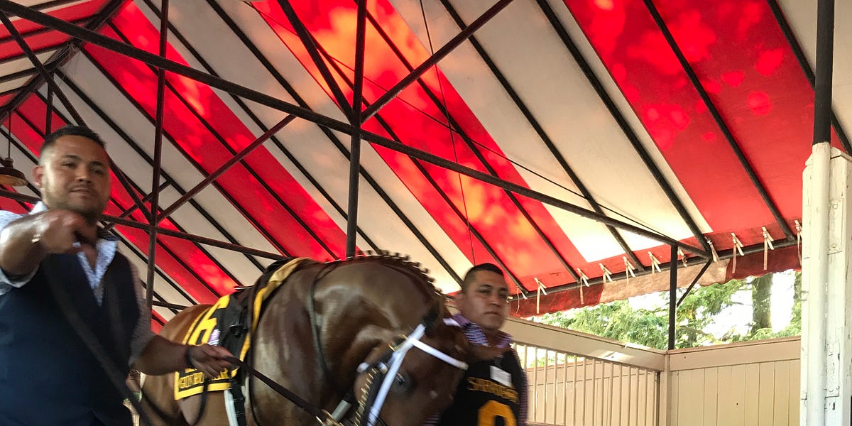 Saratoga Stack 8.5.23 - by Mut (Mike Mutnansky) - MutStack