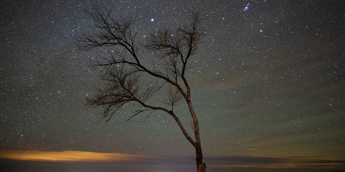 Language and Light - by Billy Robb - Cholla Express