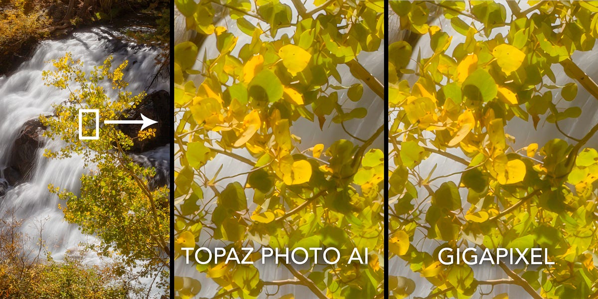 Topaz Photo AI vs. Gigapixel: Which to Use and When