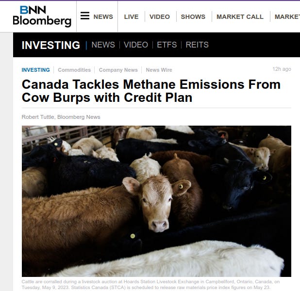 NOT BABYLON BEE: Canada Tackles Methane Emissions From COW BURPS with ...