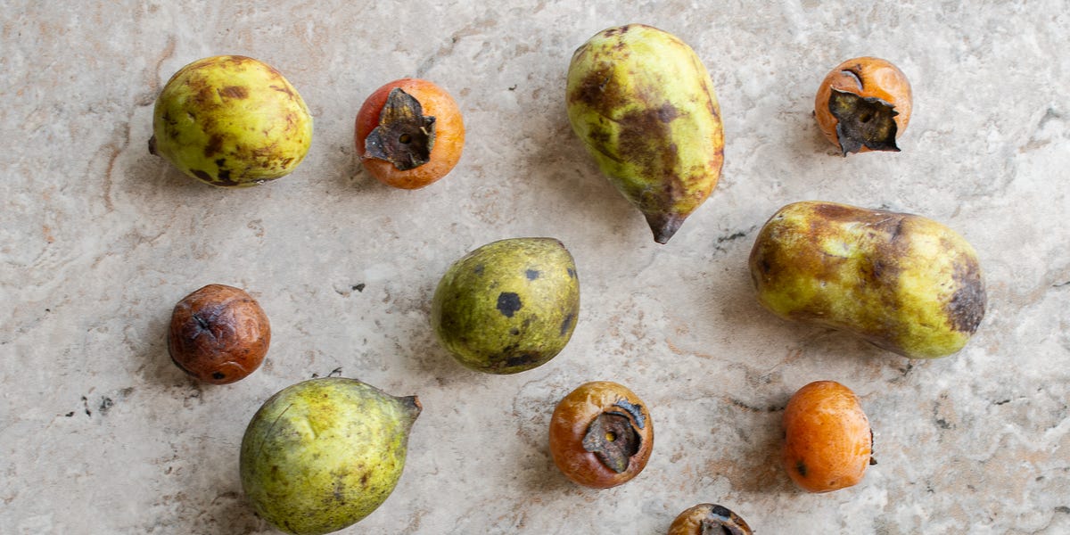 The Racism of Anti-Foraging Laws - by JB Douglas