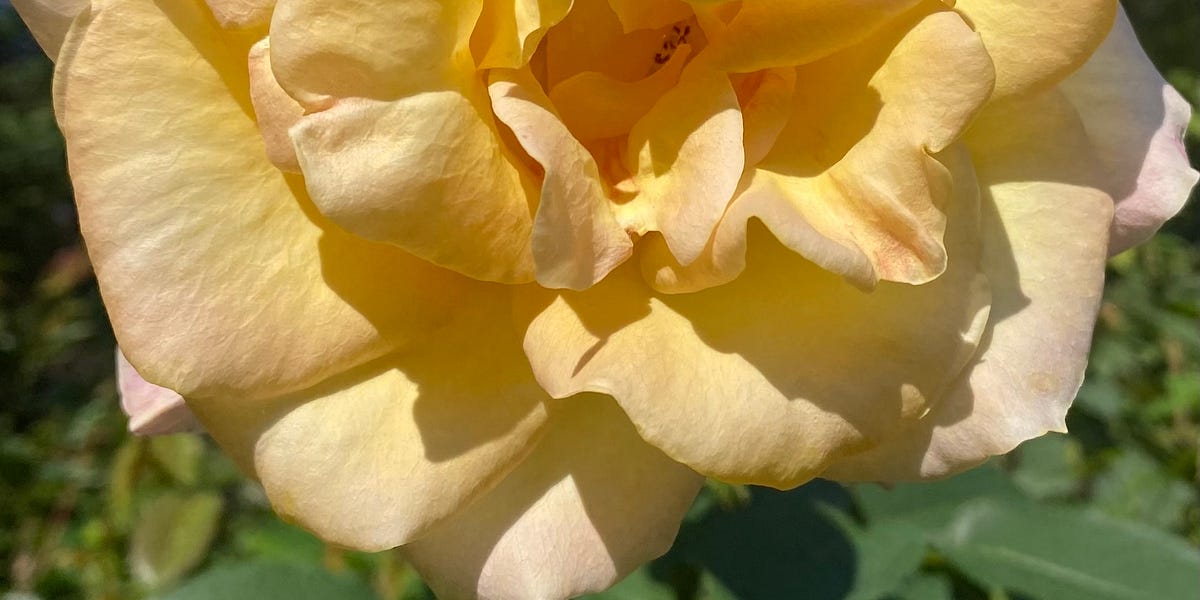 Postpartum the Real Deal - Johanna Mercedes Substack