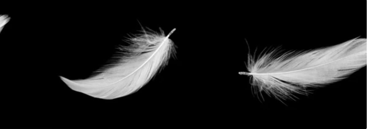 White Feathers - by Eli Hastings - Eli’s Substack