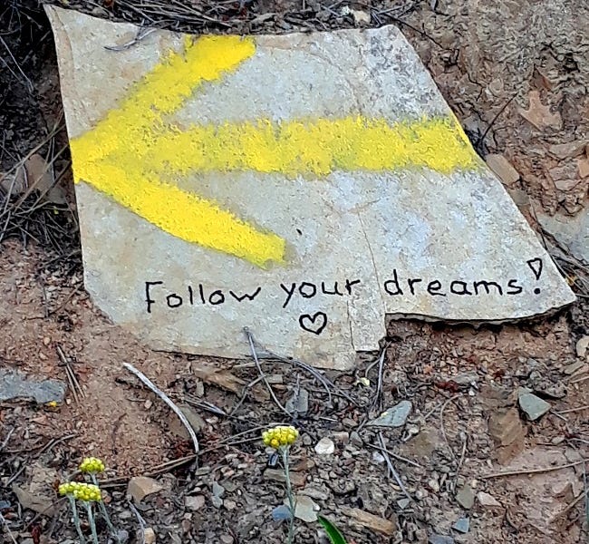 The Land is Holding Us - by Virginia Gilstrap