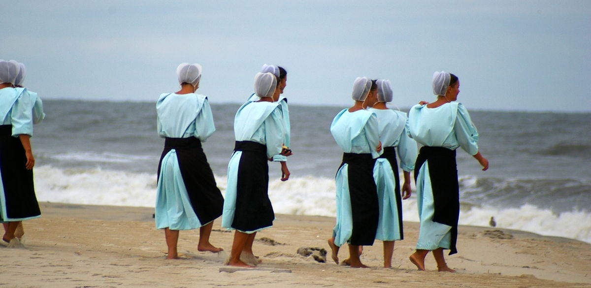 A rational view of female modesty - by Tove K