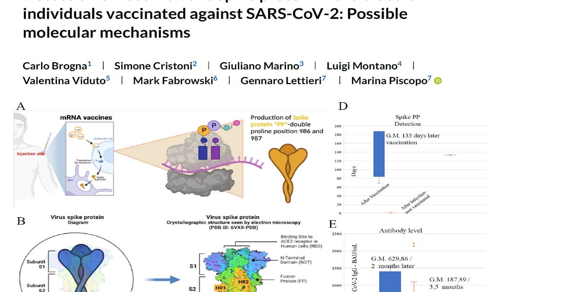 Lab Finds mRNA Derived Spike Protein in Blood for Months after Vaccination