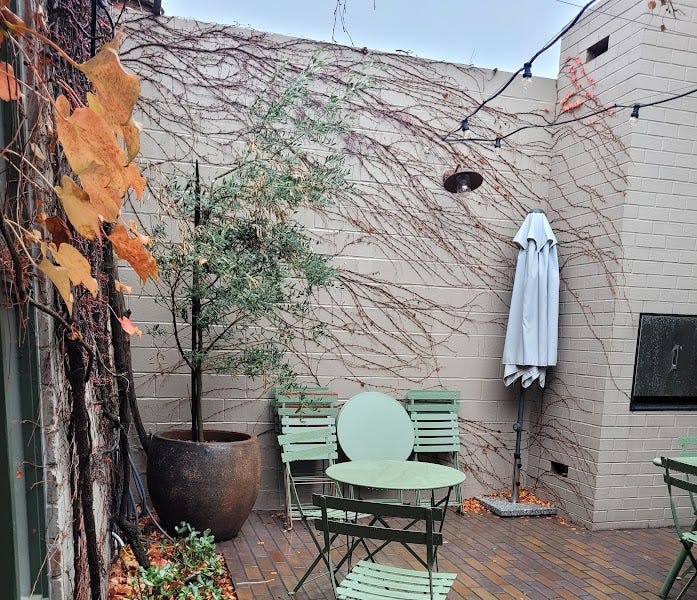 A Marijke guest post - by Open Book - Jessie's Substack