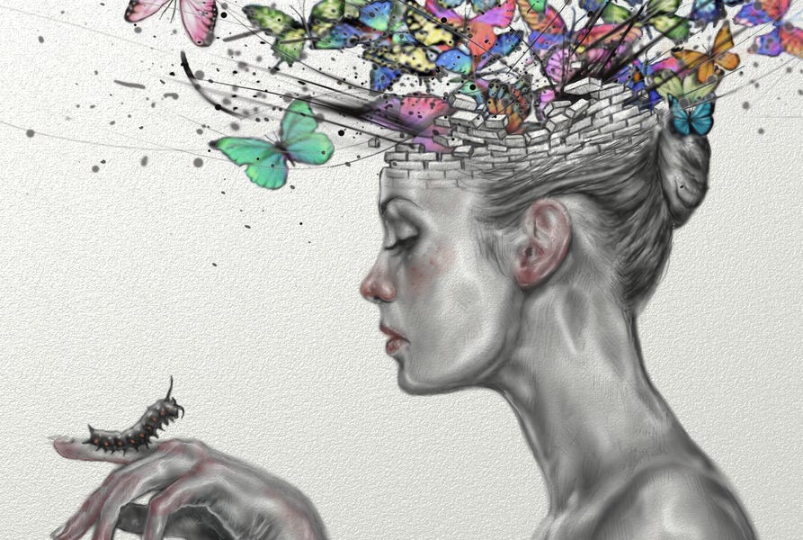 Approaching the Supersensible - by Thomas Joseph Brown