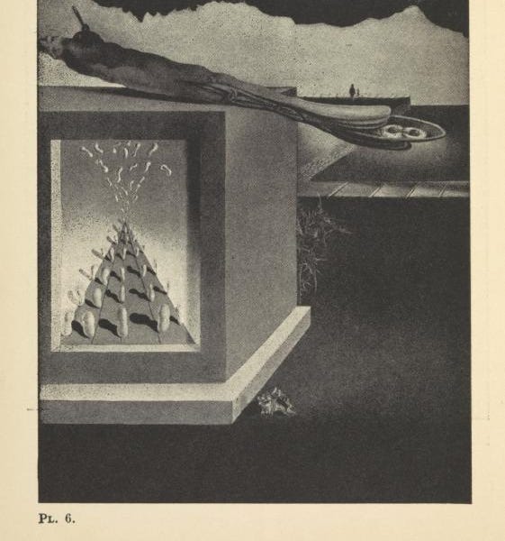 Sean Thor Conroe's Automatic Realism - by Meg Cook