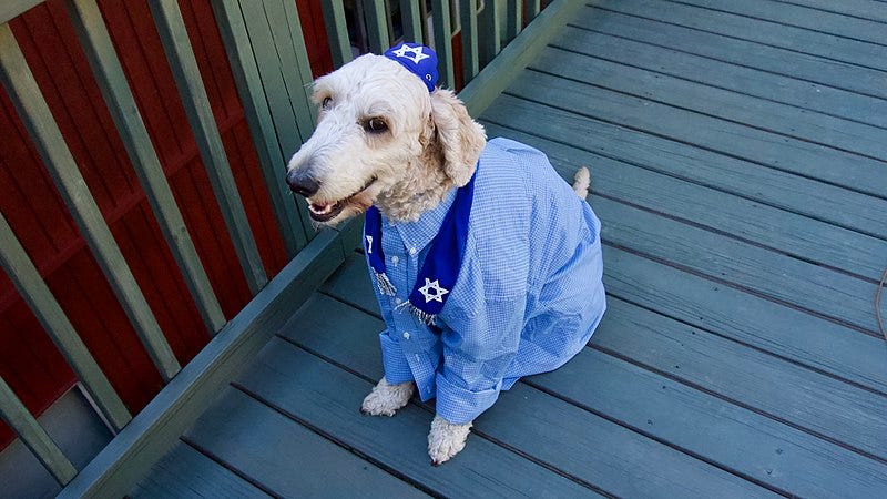 #177: Who's a Good Dog?! - by Rabbi Eli L. Garfinkel