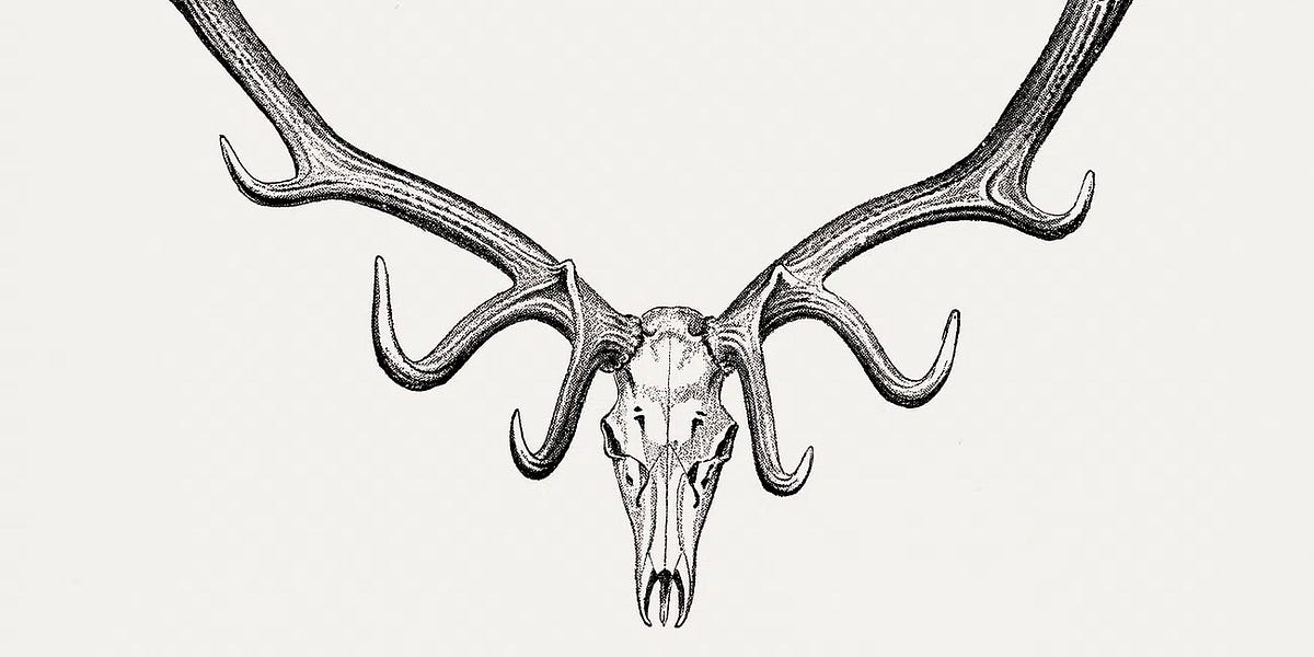Big Racks By A Natasha Joukovsky Quite Useless