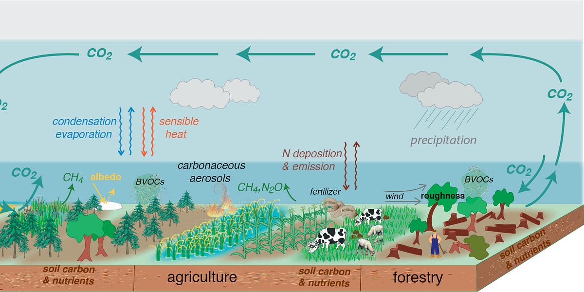 88. Why deforestation has no climate effect