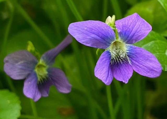 A Day in the Life - by Mary Roblyn - Writer, interrupted