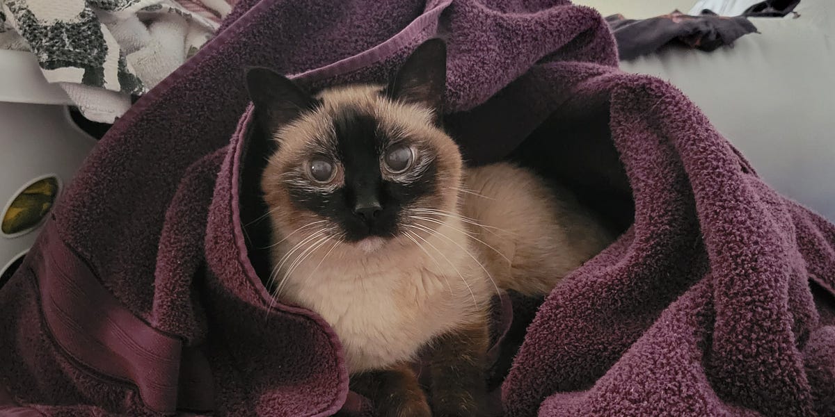 Grief is Strange - Cassandra’s Substack