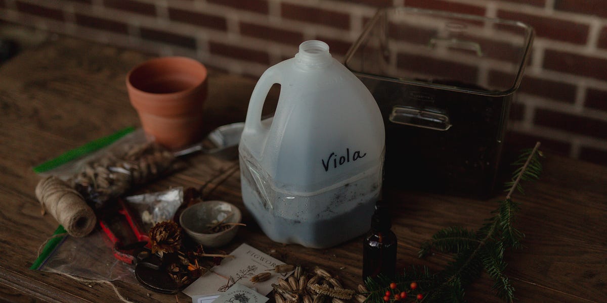The Beginner's Guide to Winter Sowing - by Emily Leake