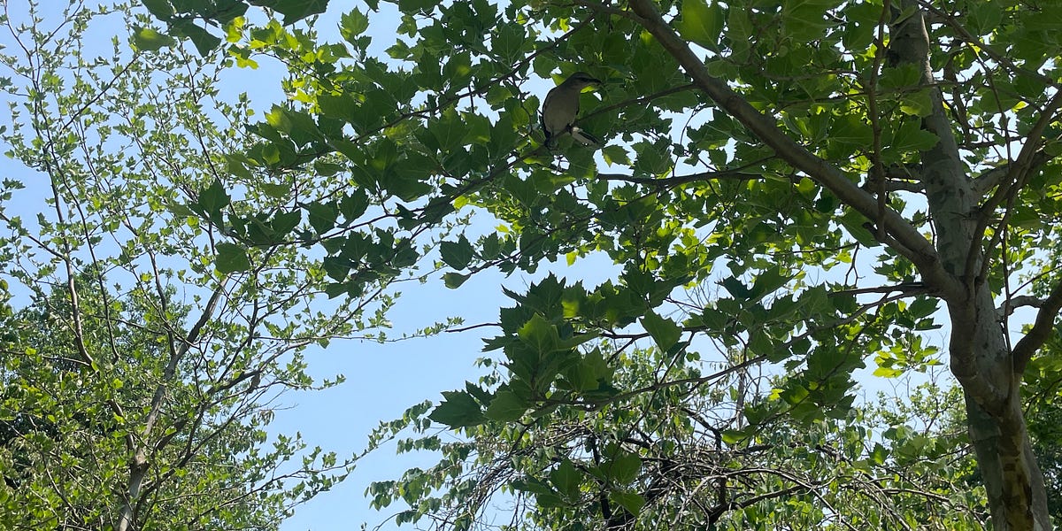 this is so embarrassing! - by Colleen Grablick