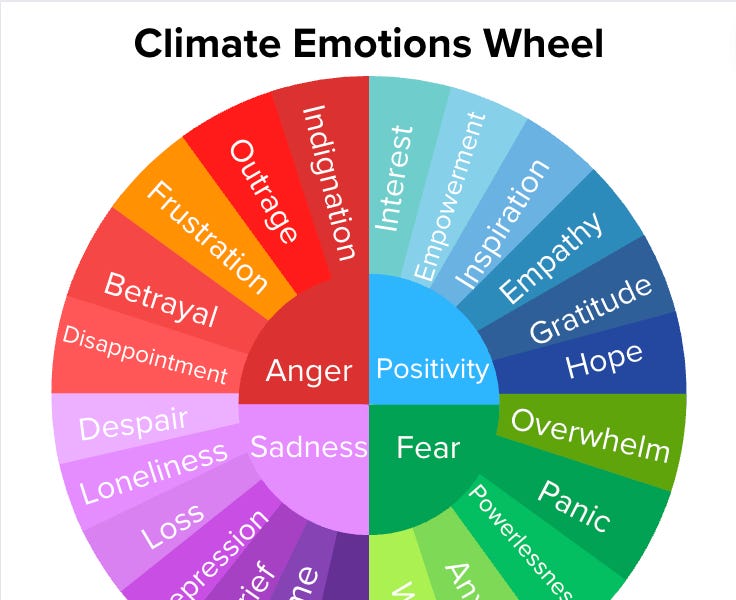 Presenting: The Climate Emotions Wheel - by Anya Kamenetz