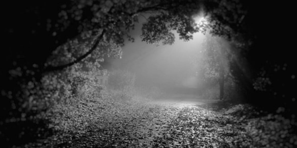 Elizabeth T. Greenberg - PHOTOSNACK