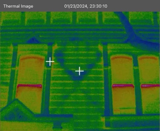 Fun with infrared imaging - Mark Shahinian's Substack