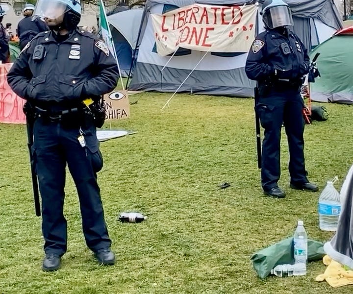 Liberated Zone - by Alistair Kitchen - Kitchen Counter