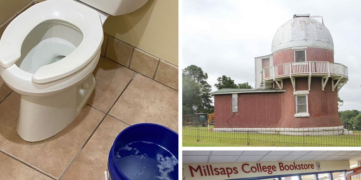 Archived Stories - The Purple & White