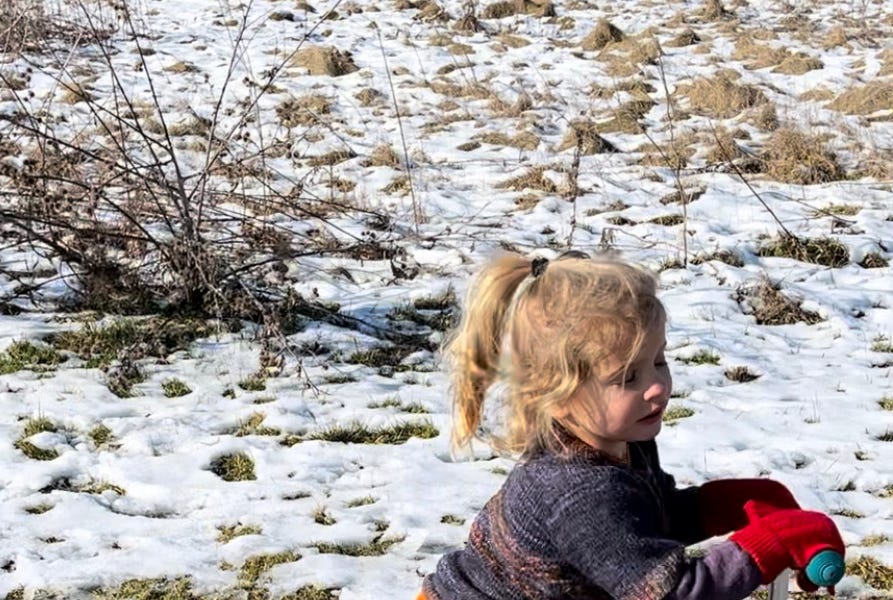 SCOOTER MAGEE - by Caroline Manring