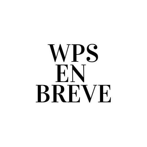 WPS en breve: diciembre 2023 - by Aislinn Doyle
