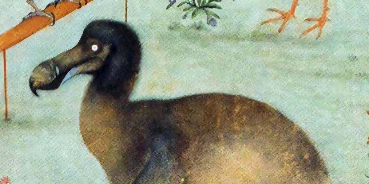 The Emperor and the Dodo - by Sam Dalrymple and Eric Chopra