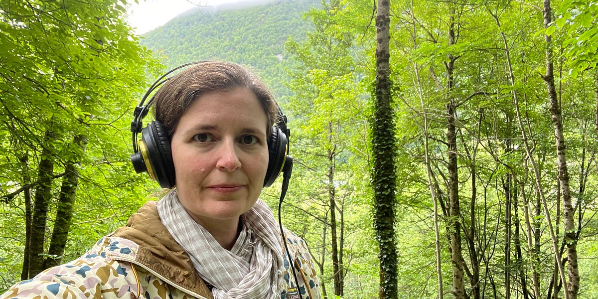 Our Sonic Environment