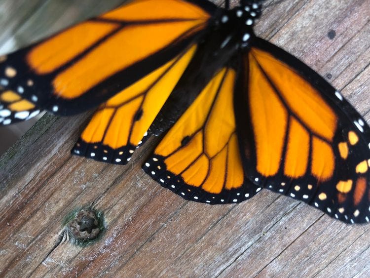 The Binary Conundrum of Heaven or Hell. - by L. Rōen