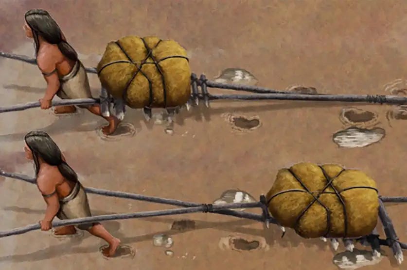 🧐 Ancient Beat #146: Timber circles, early transportation tech, and 40,000-year-old boats