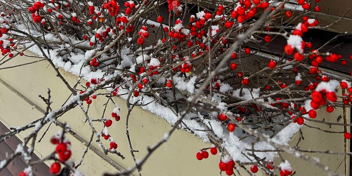 A Merry December To You - by Doreen Frost~Folk Artist