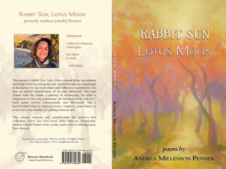 Aerograms and Onion Skin - by Andi Penner - In Our Own Ink