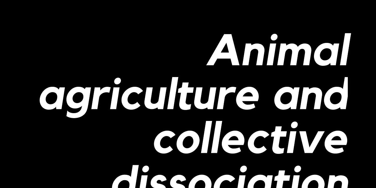 Animal agriculture and collective dissociation