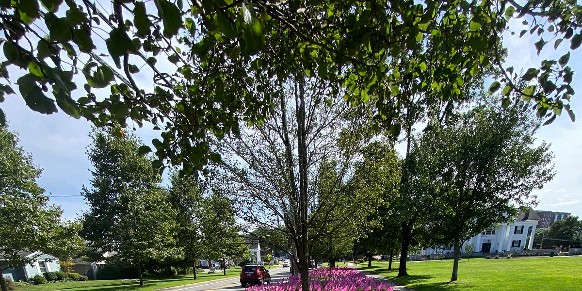 Cathy Miles: Fighting the Opioid Epidemic in Framingham