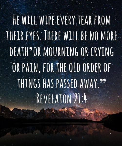 This Passing Shadow - by Amanda Fowler - Wanderer Not Lost