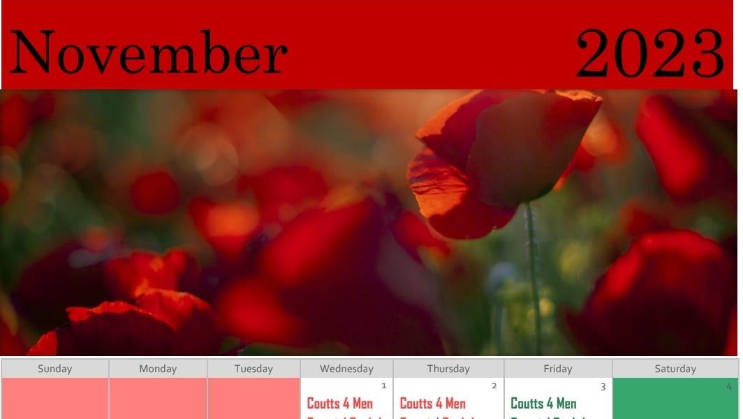 NOVEMBER 2023 - by Chelle - Freedom Hub Lethbridge