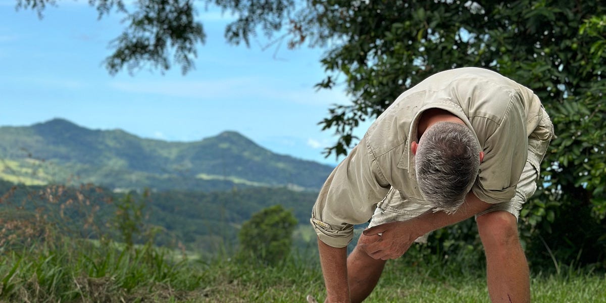 Culture Leads - by Dean Power - DeanPower.Art