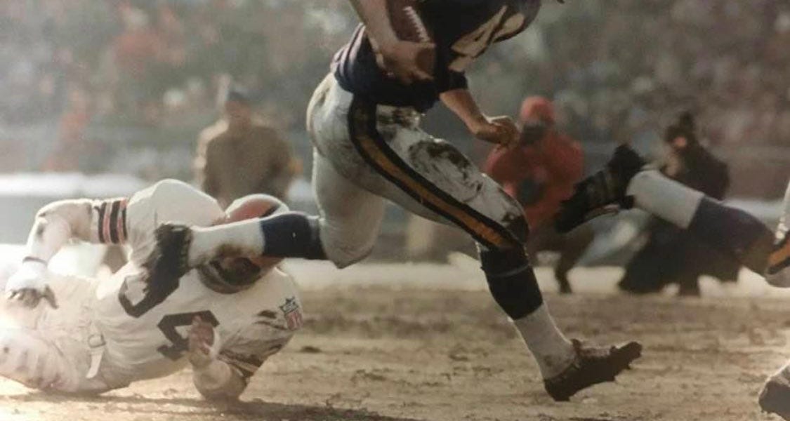 The Fine Art of Losing - by David Coggins - The Contender