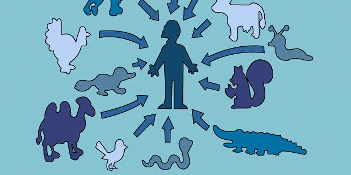 What is perpetual stew? - by Callum Booth - The Rectangle