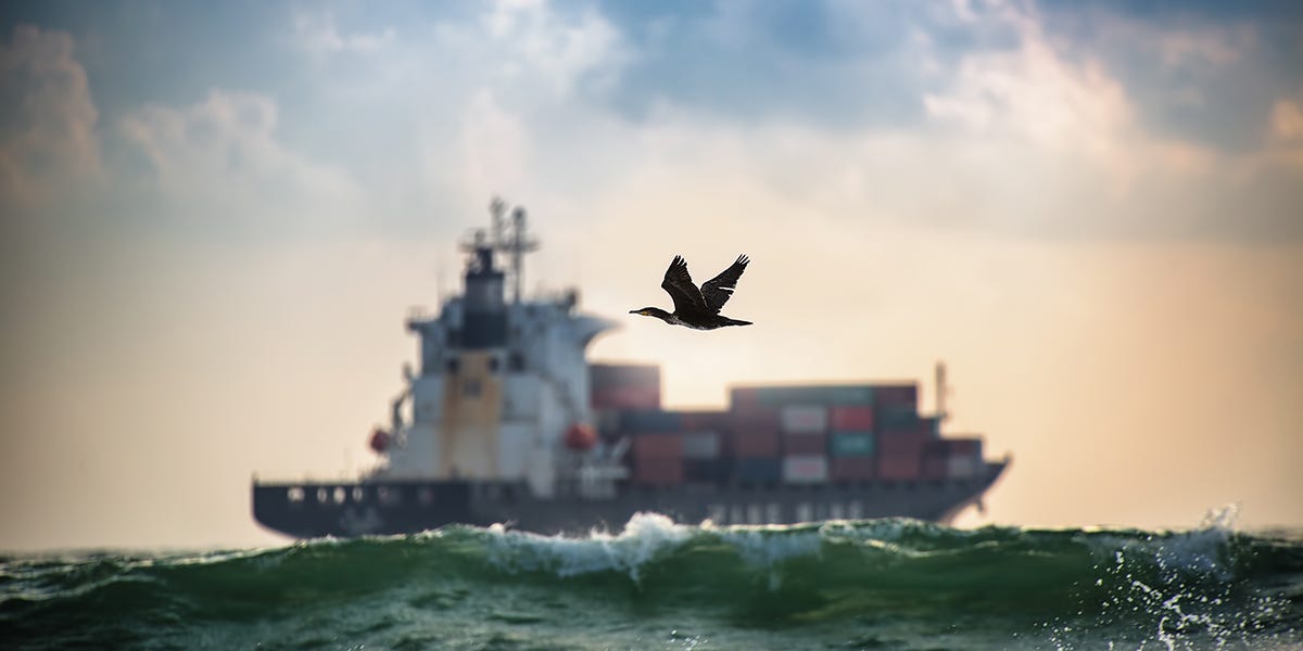 Why machines will never rule the world - by Matt Duckham