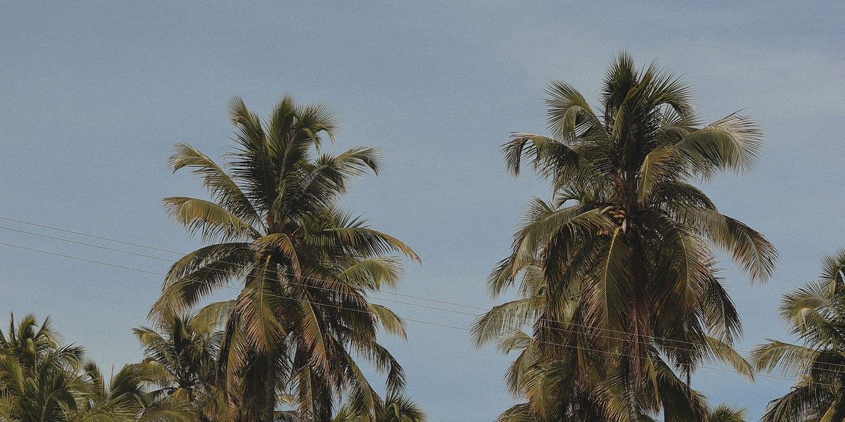 Devagar e sempre - by Sthefany Passos